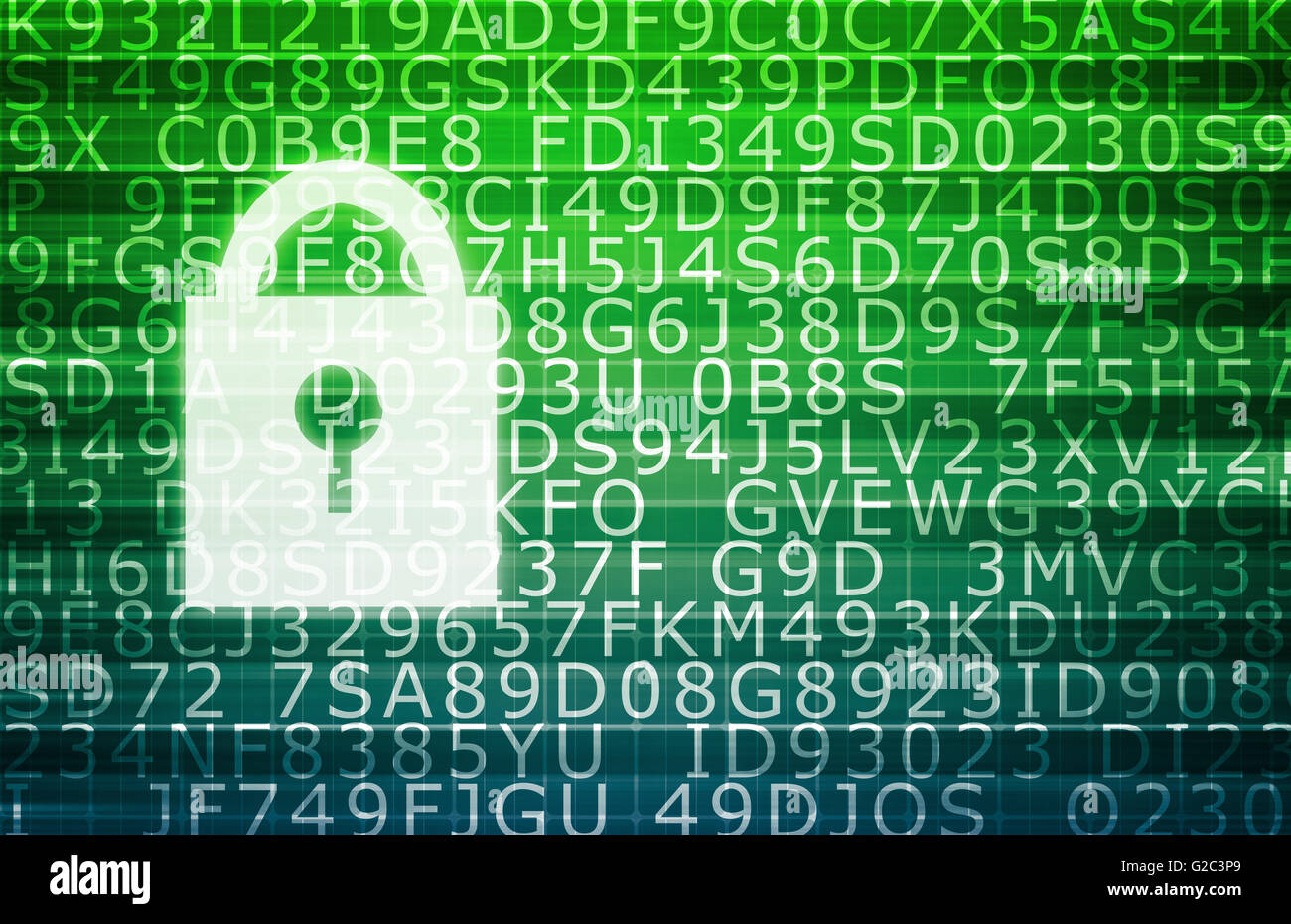 Secure Data with Encryption to Protect Vulnerable Information Stock ...