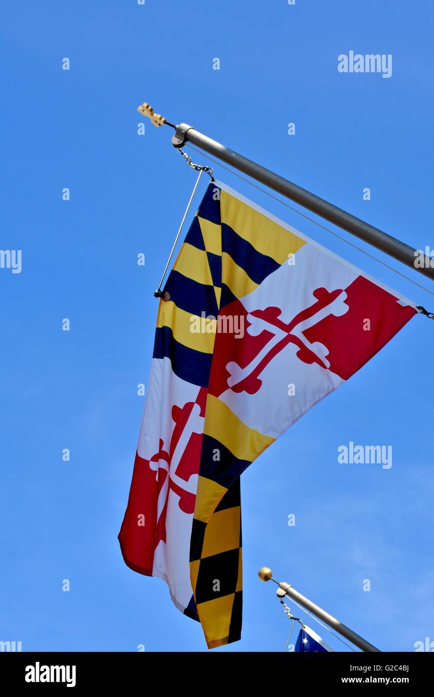 Maryland flag hi-res stock photography and images - Alamy