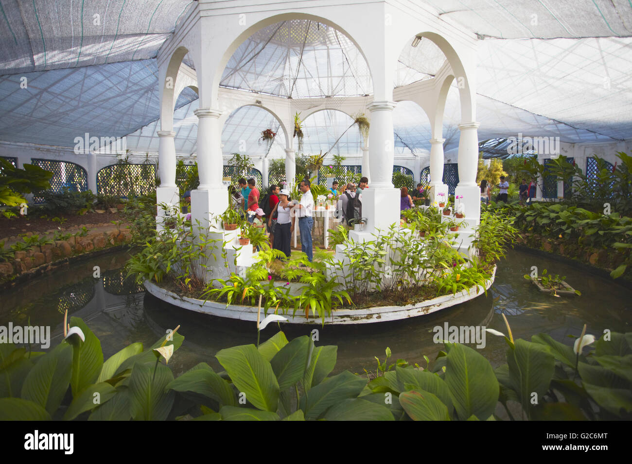 People inside orchid house at Botanical Gardens, Jardim Botanico, Rio ...