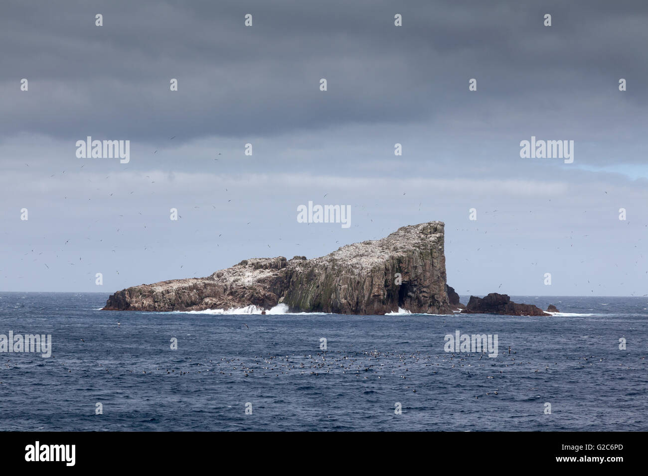 Main group of the Bounty Islands, New Zealand Stock Photo - Alamy