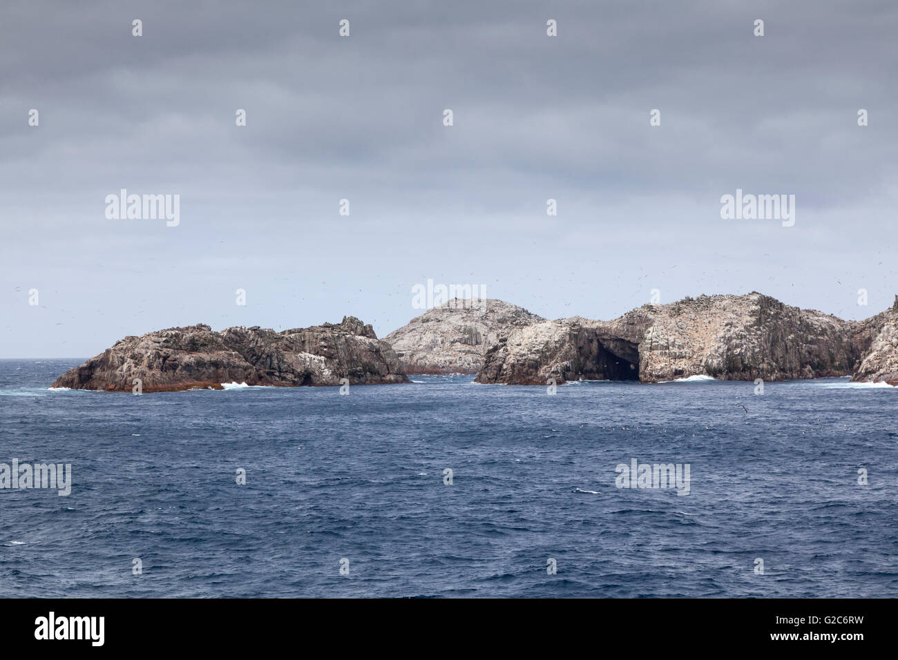 Bounty islands new zealand hi-res stock photography and images - Alamy