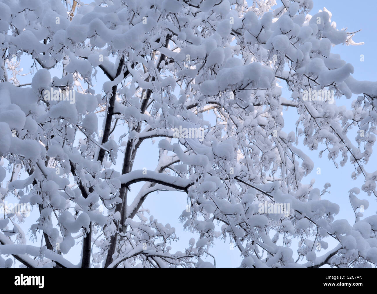 Ice landscape hi-res stock photography and images - Alamy