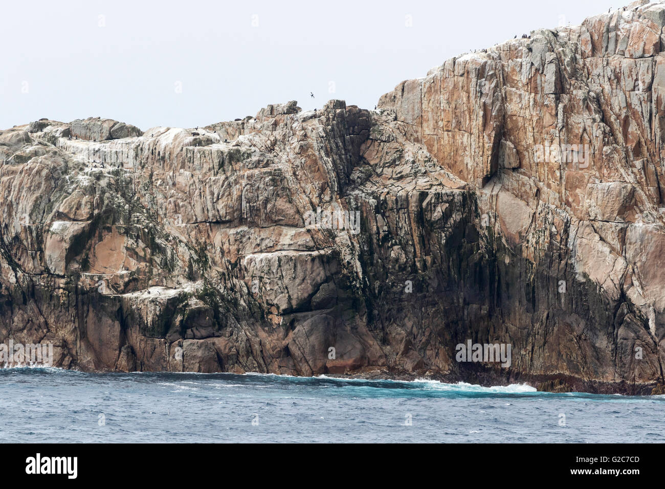 Bounty Islands (main group), New Zealand Stock Photo - Alamy