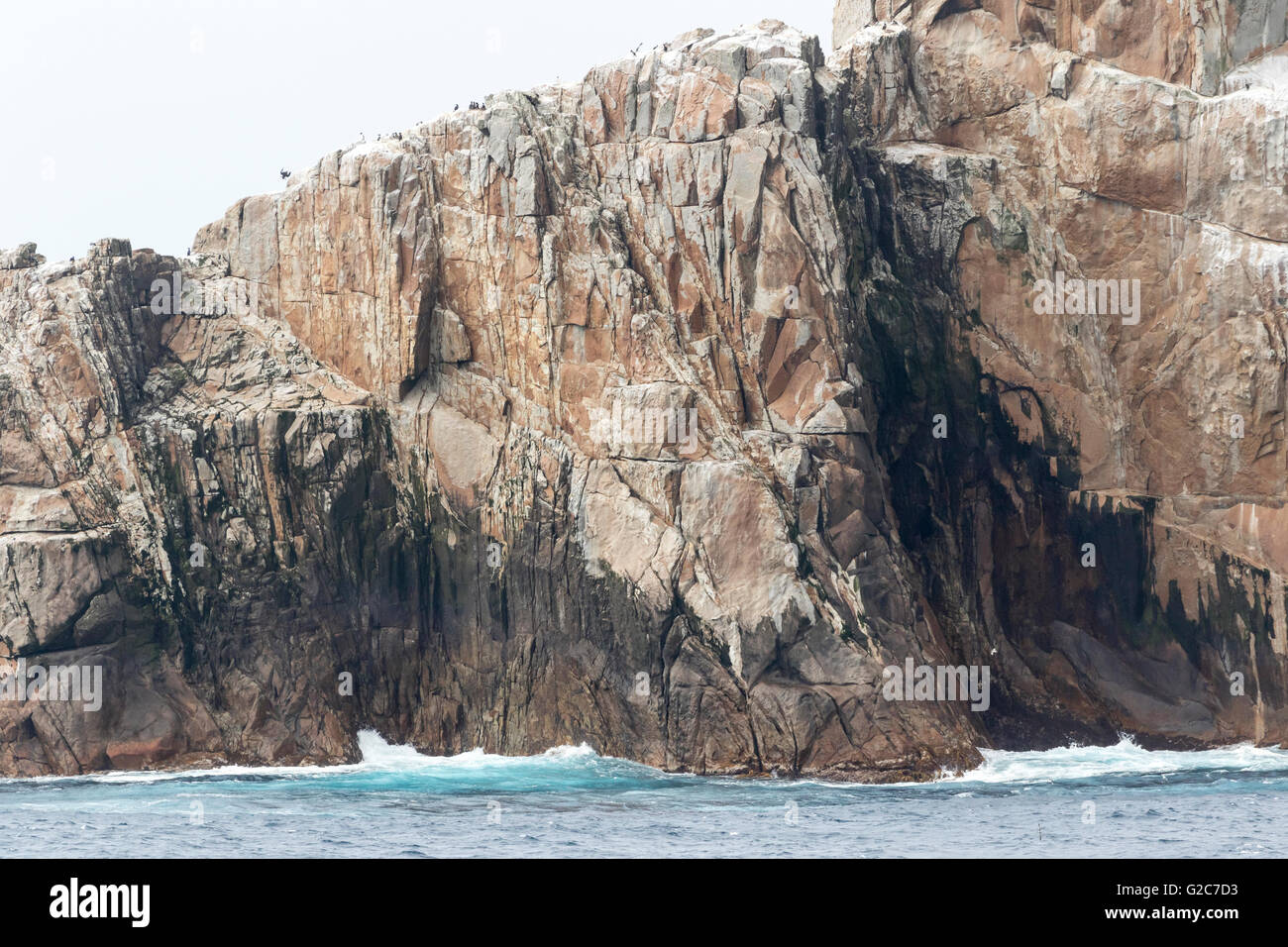Bounty Islands (main group), New Zealand Stock Photo - Alamy
