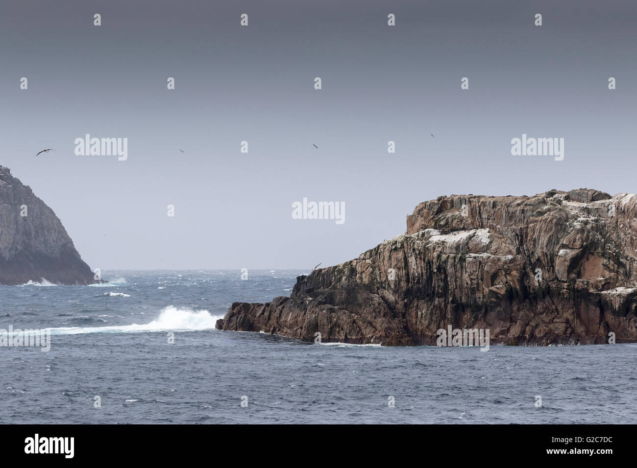 Bounty islands new zealand hi-res stock photography and images - Alamy