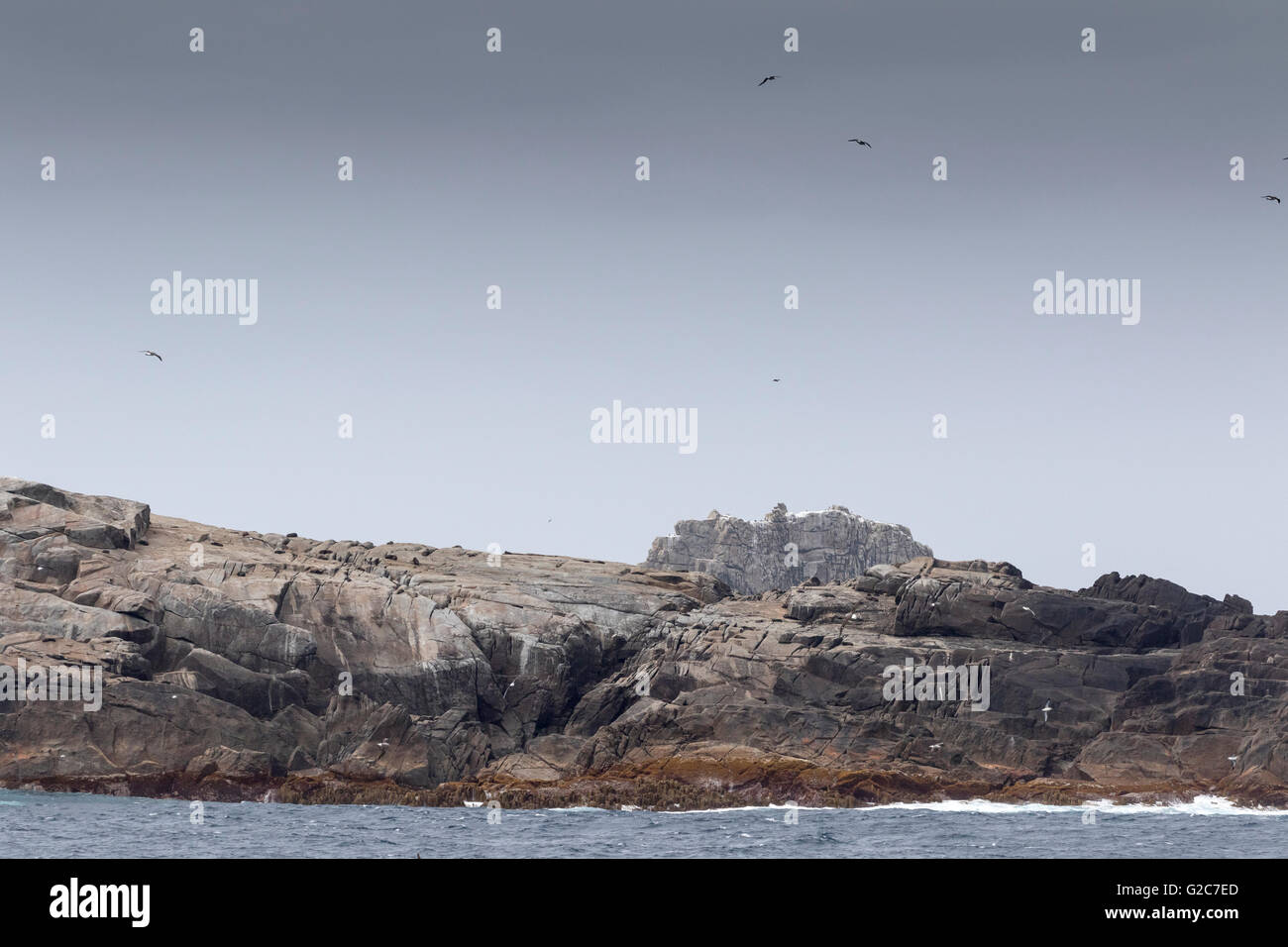 Bounty islands new zealand hi-res stock photography and images - Alamy