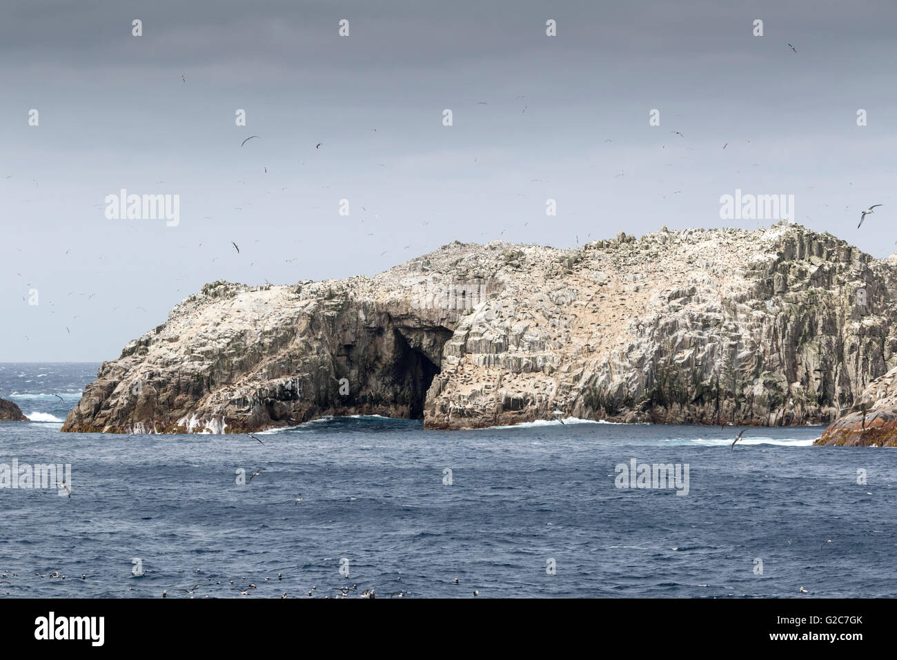 Bounty Islands (main group), New Zealand Stock Photo - Alamy