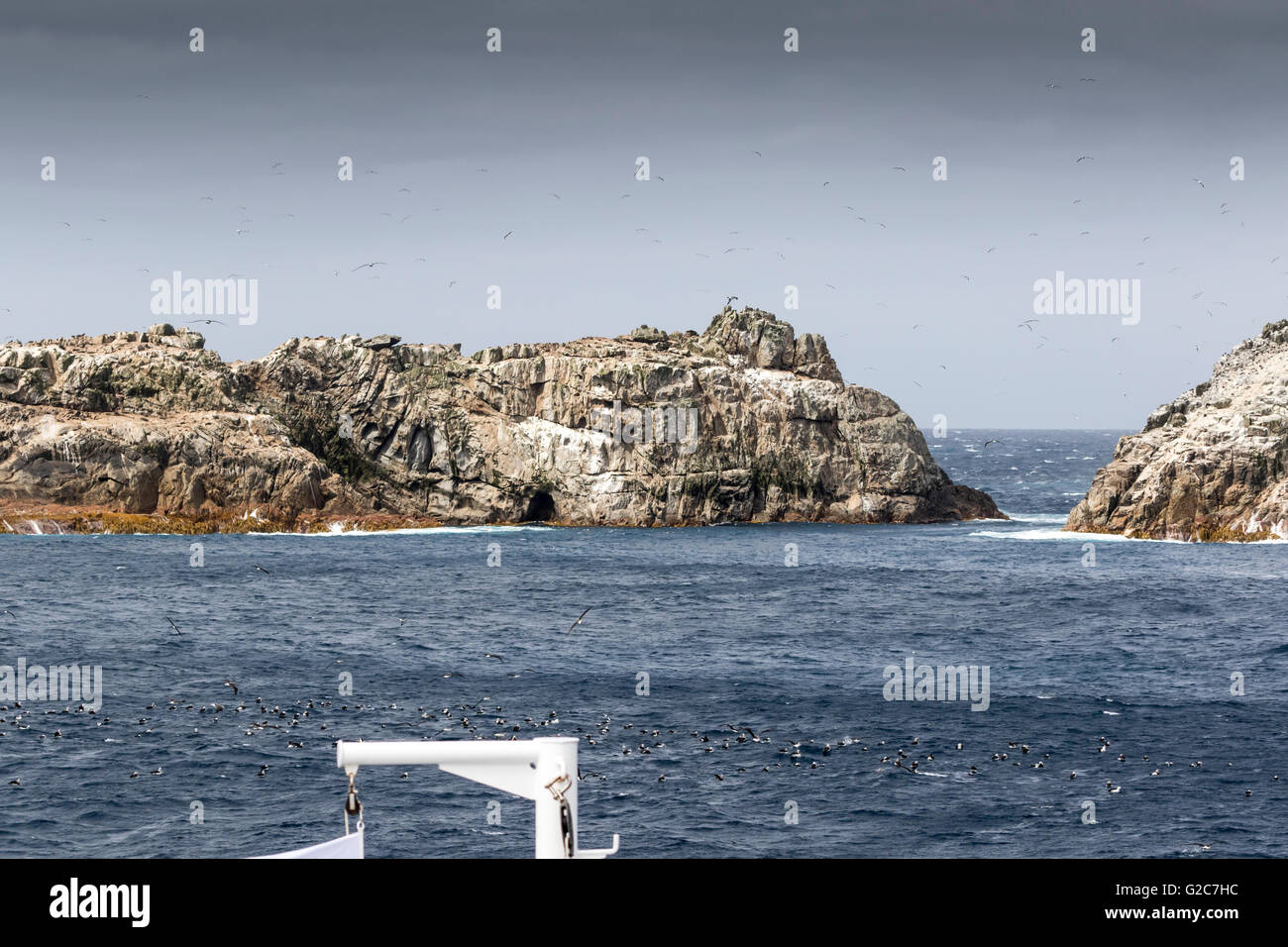 Bounty Islands (main group), New Zealand Stock Photo - Alamy