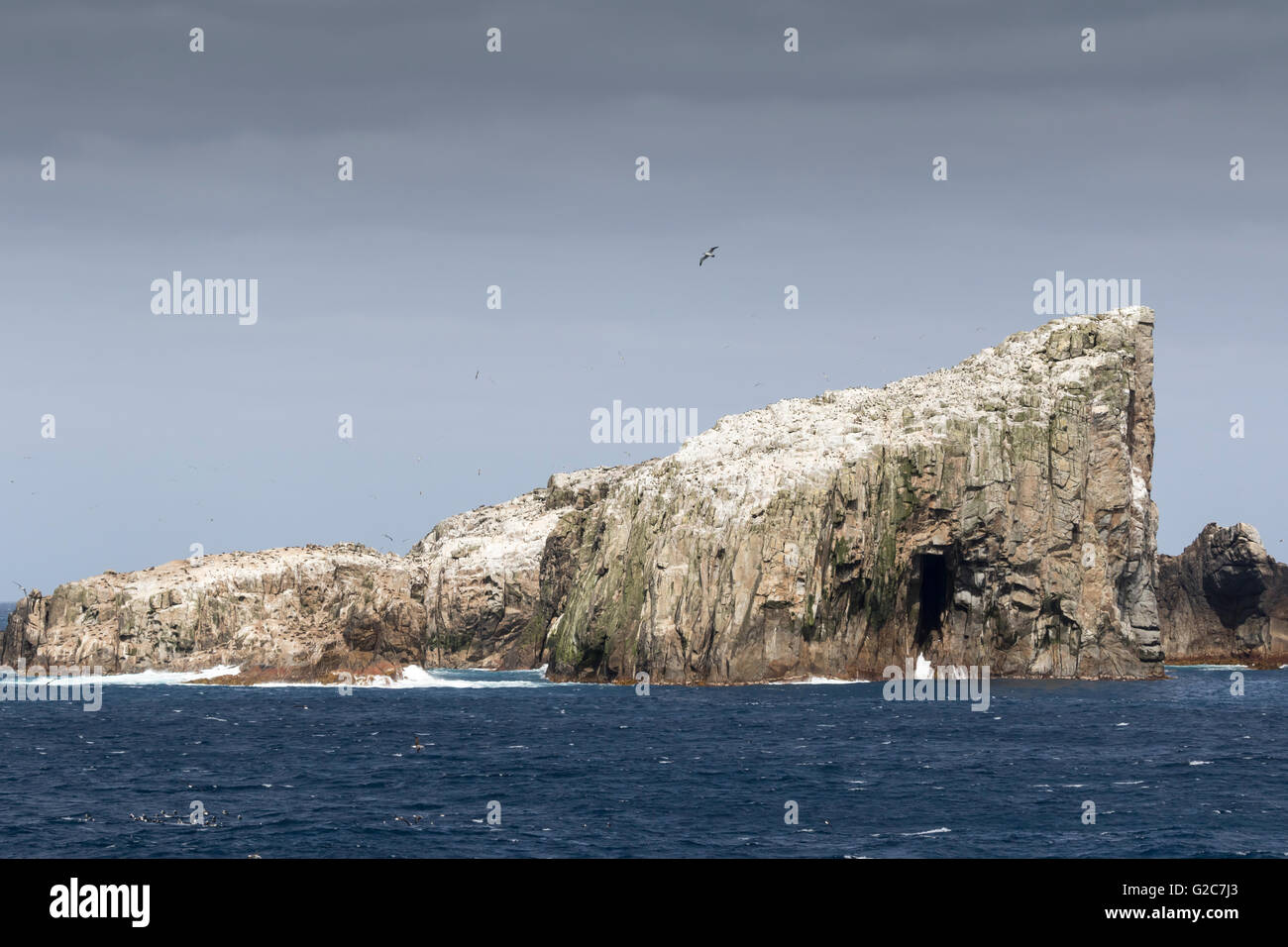 Bounty Islands (main group), New Zealand Stock Photo - Alamy