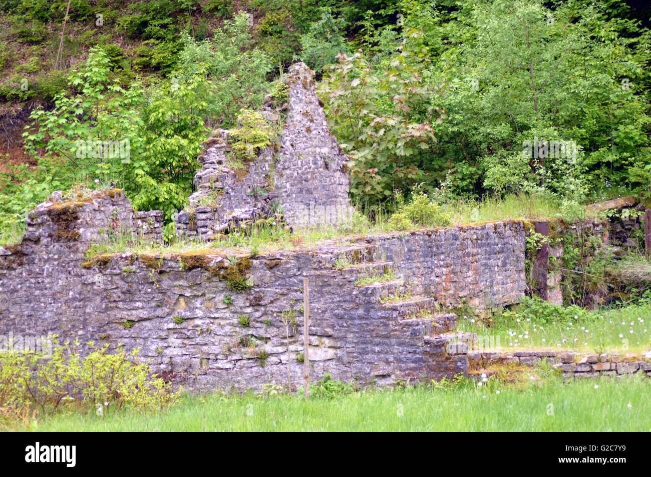 Ancient ruins in a forest hi-res stock photography and images - Alamy
