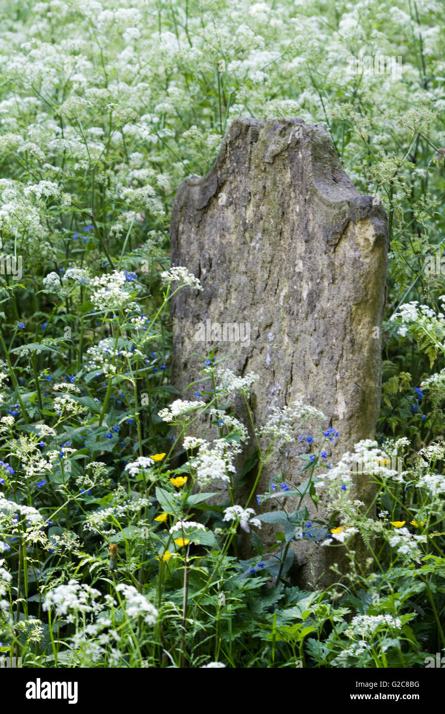Damaged and fallen old graves and headstones in an Ancient Burial ...