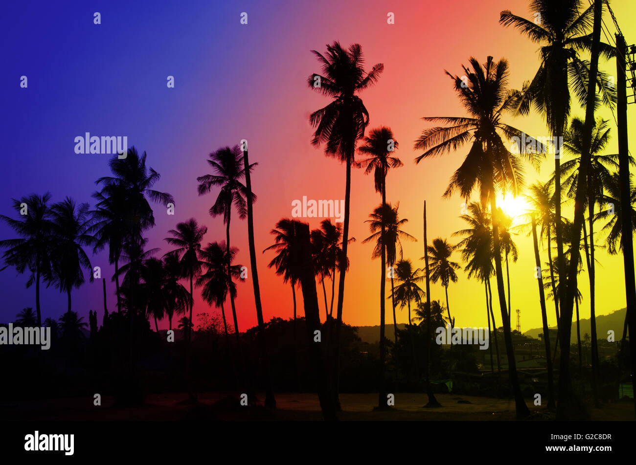 coconut palm trees at sunset. Vintage tone Stock Photo - Alamy