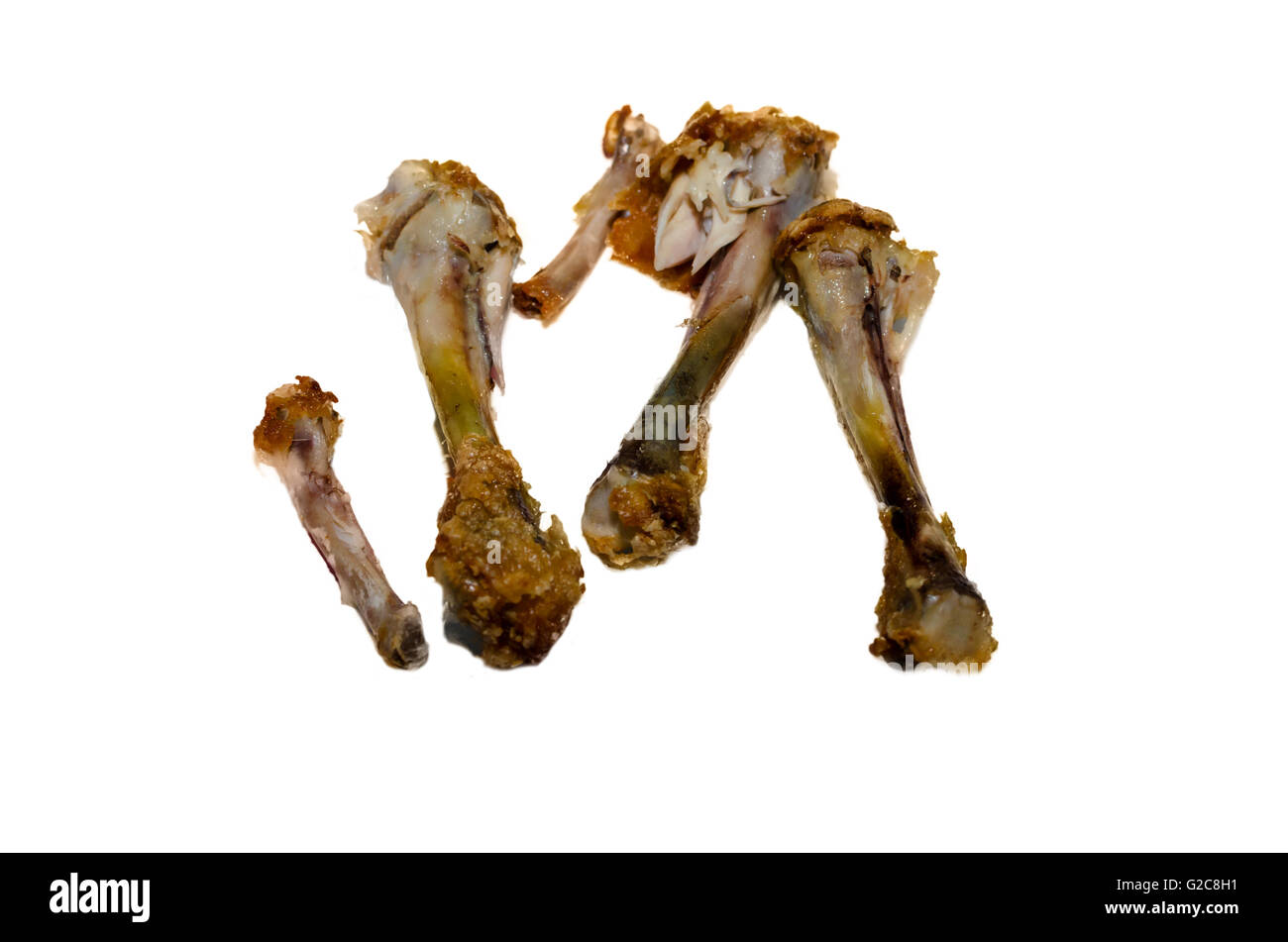 the chicken bone isolated on the white background Stock Photo - Alamy