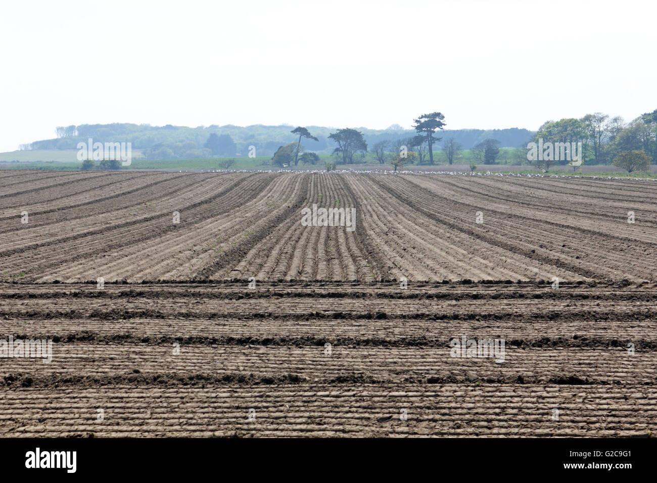 Ploughed field Covehithe, Suffolk, England, United Kingdom Stock Photo ...