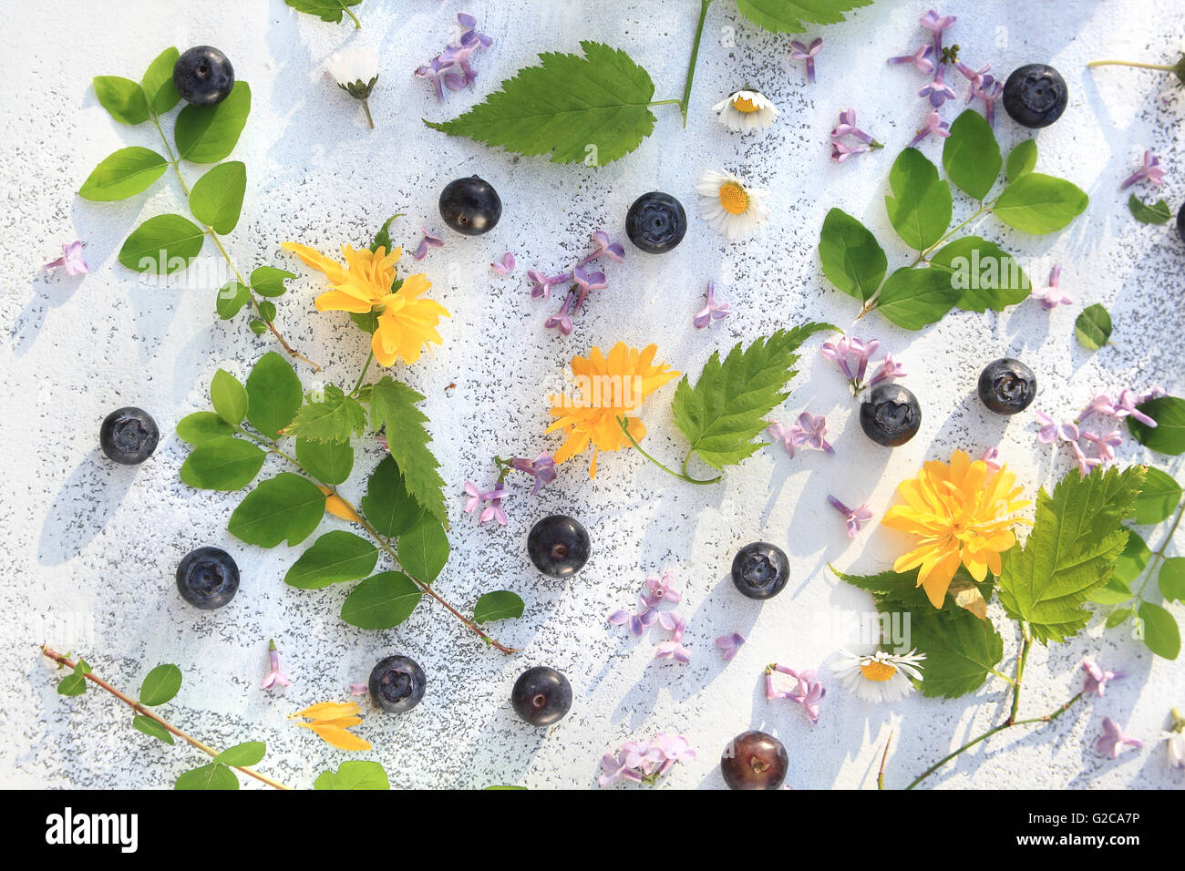Beautiful summer/ spring background with fresh flowers and leaves on ...
