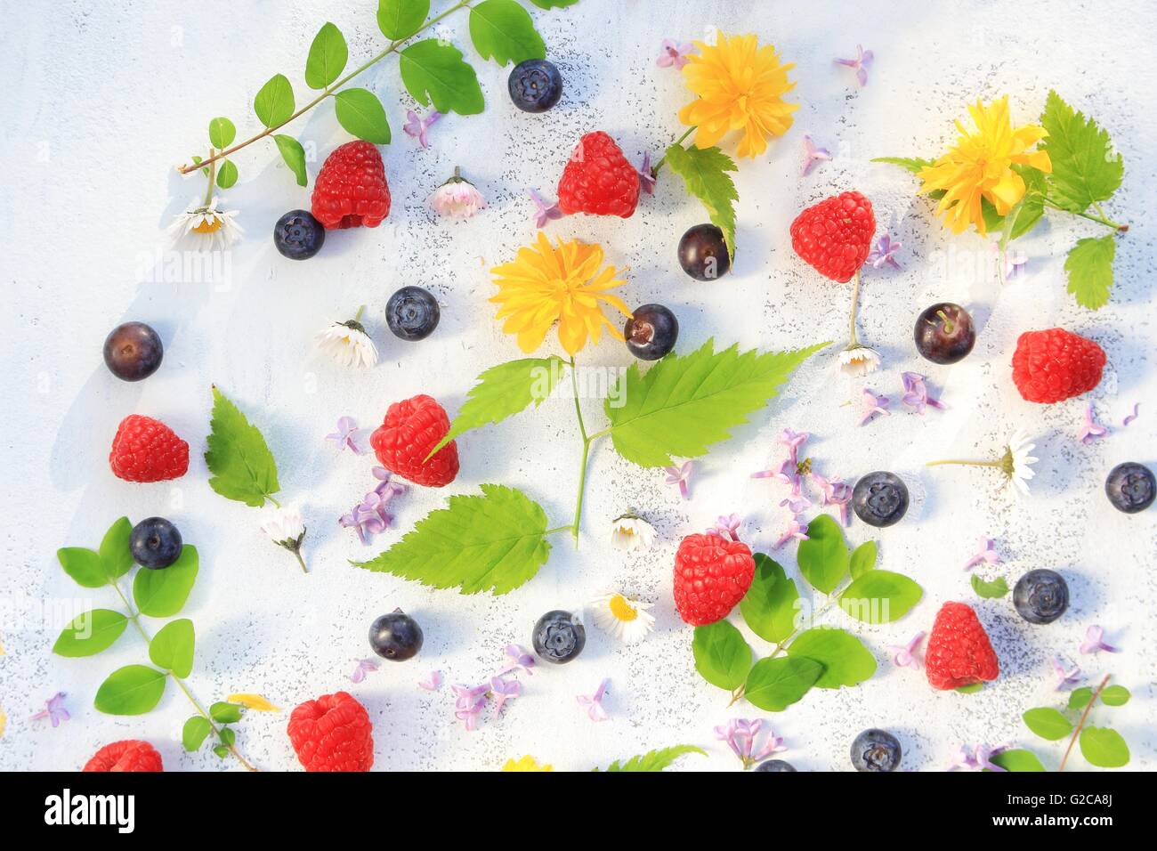 Beautiful summer/ spring background with fresh flowers and leaves on ...