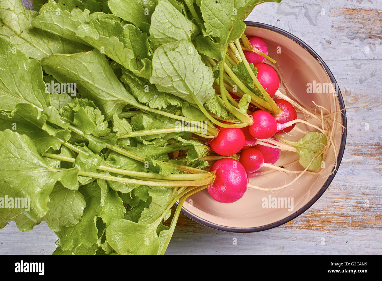 Radish leaf hi-res stock photography and images - Alamy