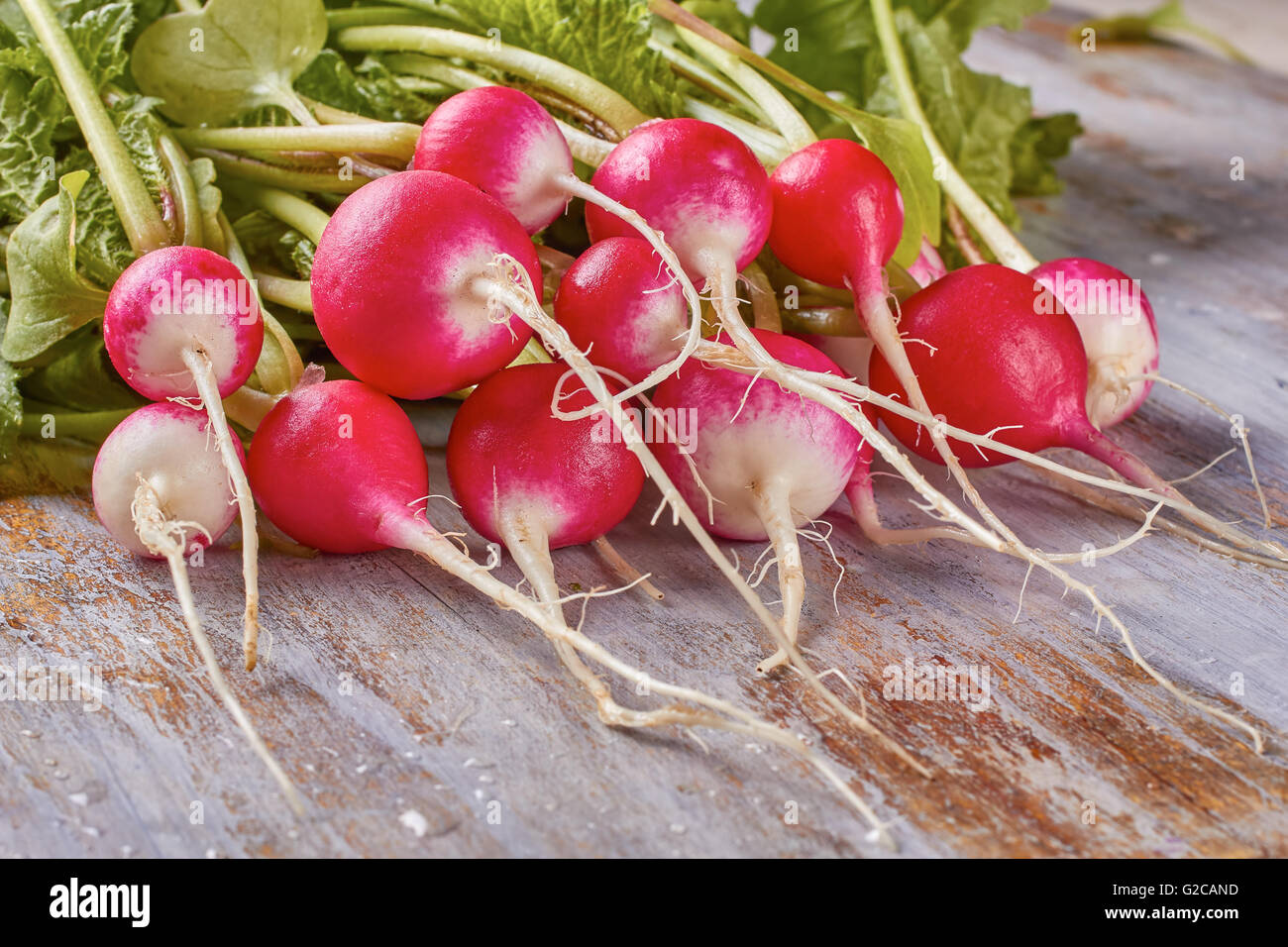 Raw green radish hi-res stock photography and images - Alamy