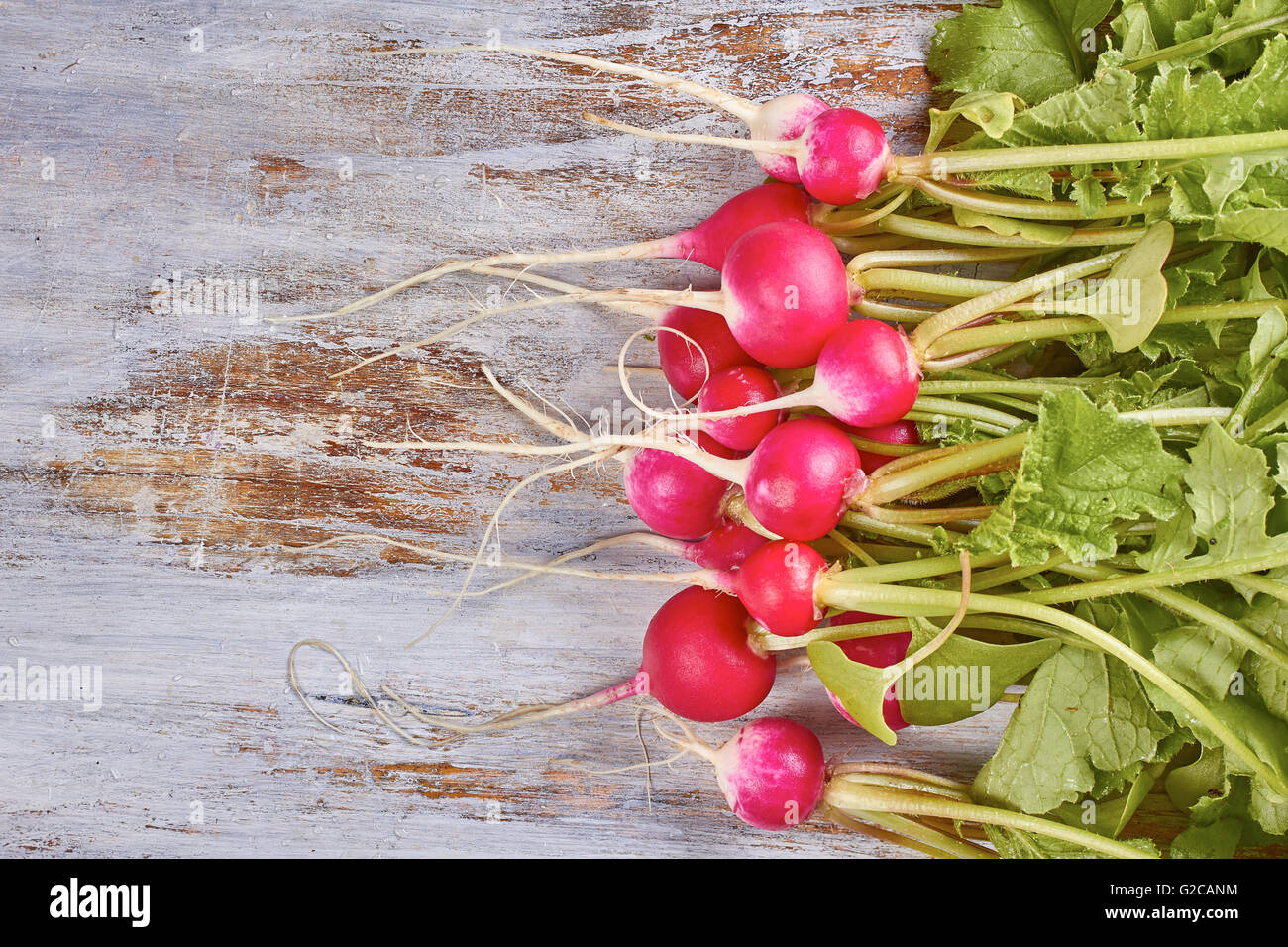 Vegetarian radish hi-res stock photography and images - Alamy