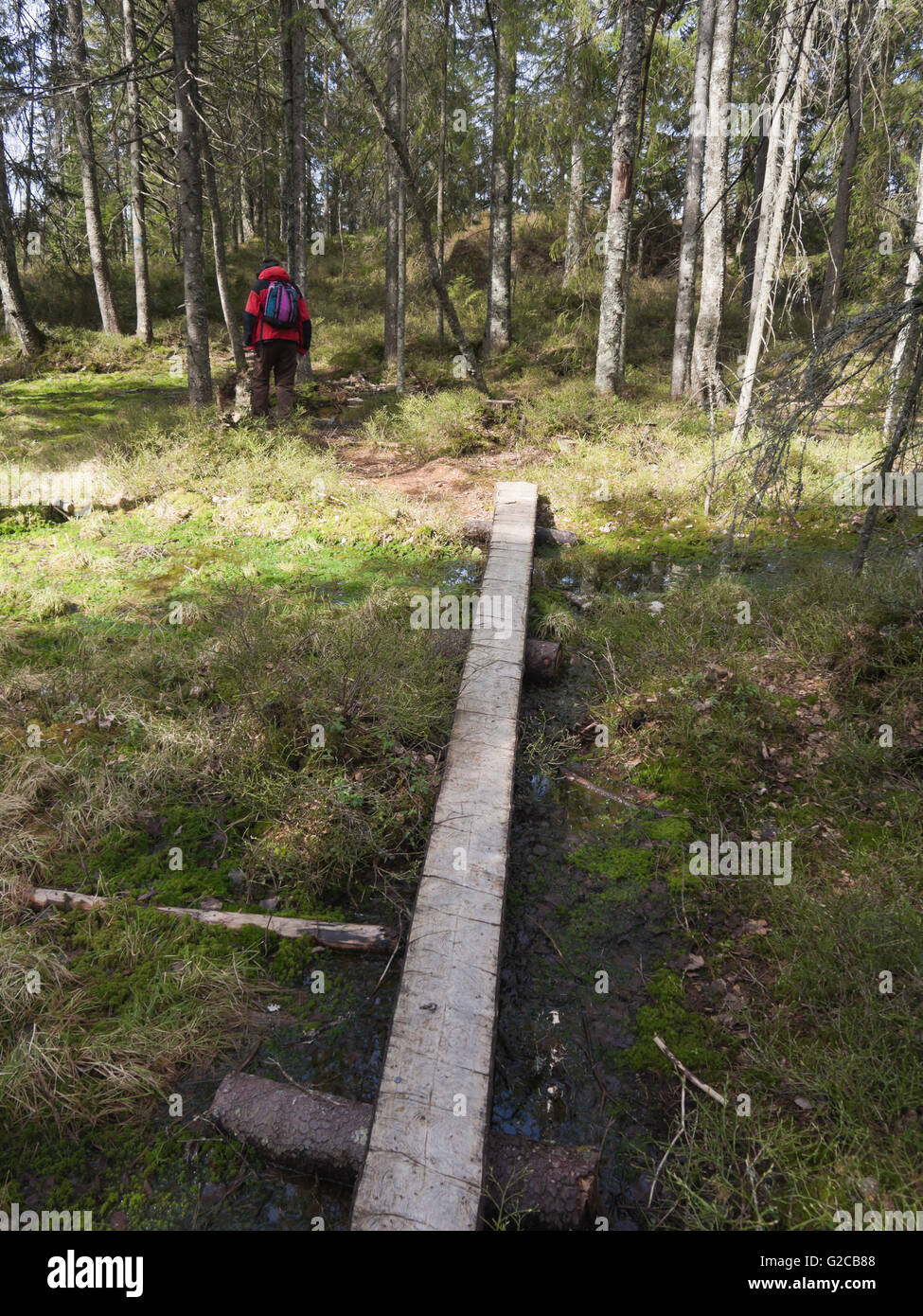 Halved timber log used as footbridge to cross a boggy area along a ...
