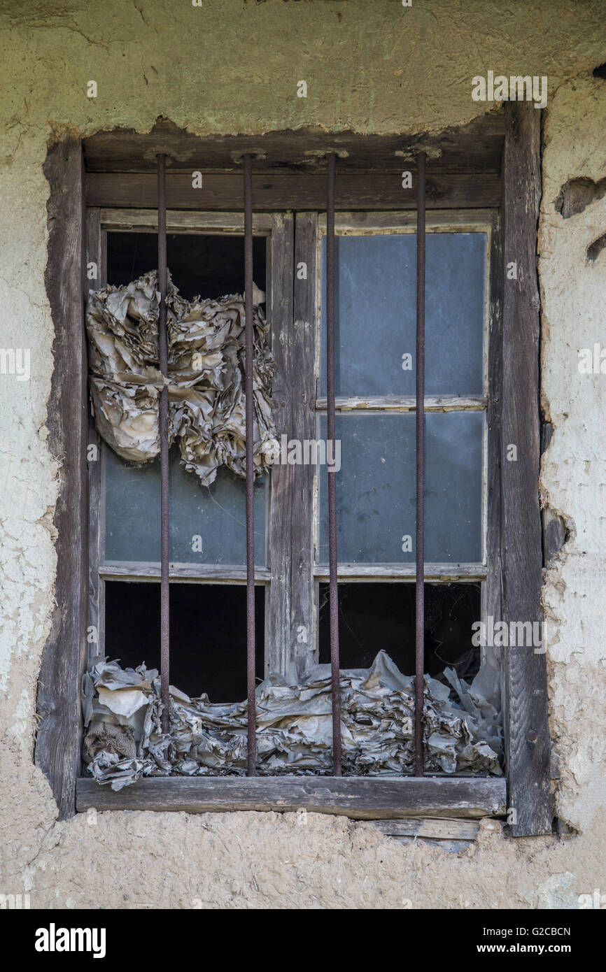 Close frame view hi-res stock photography and images - Alamy