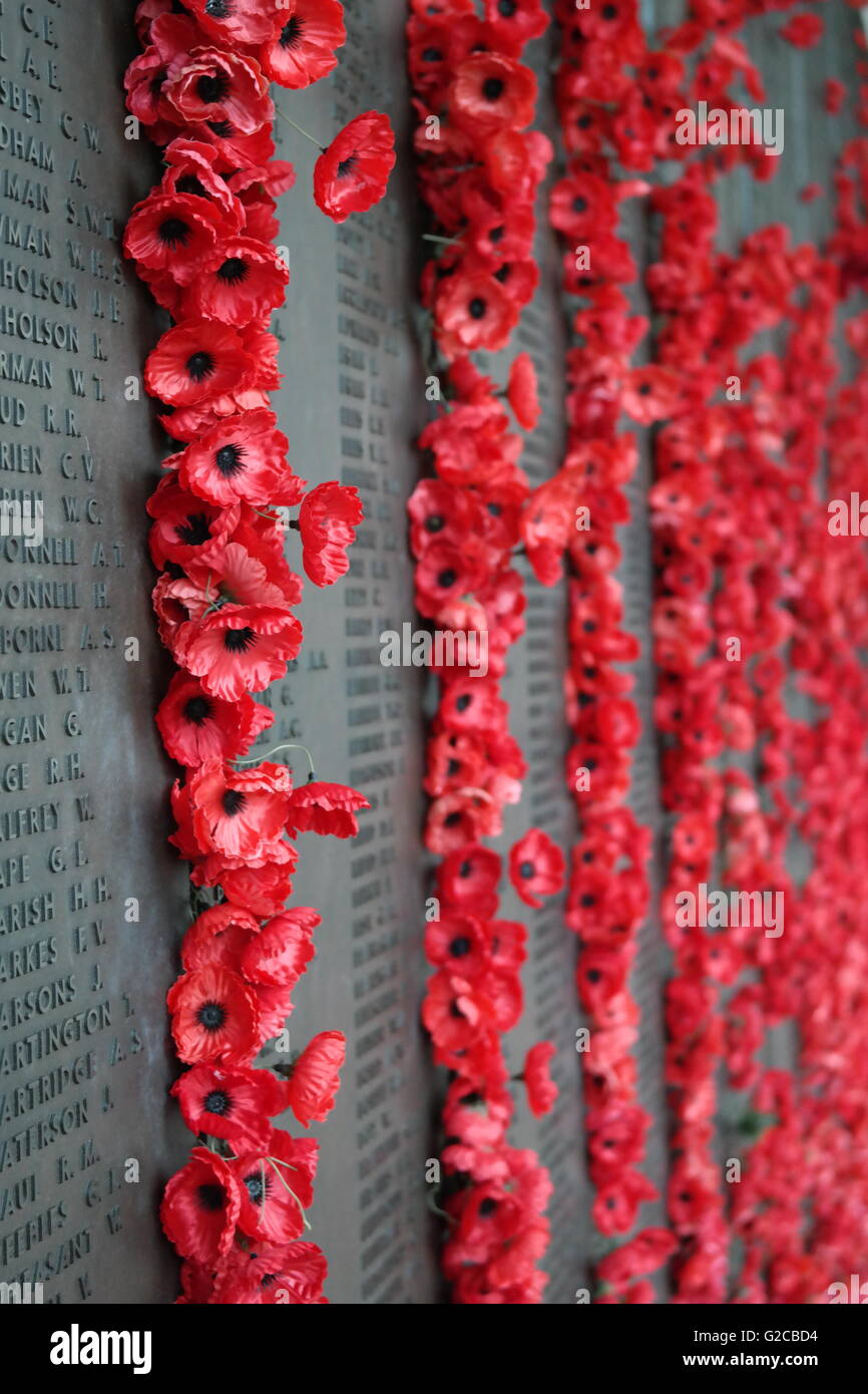 Anzac poppy hi-res stock photography and images - Alamy