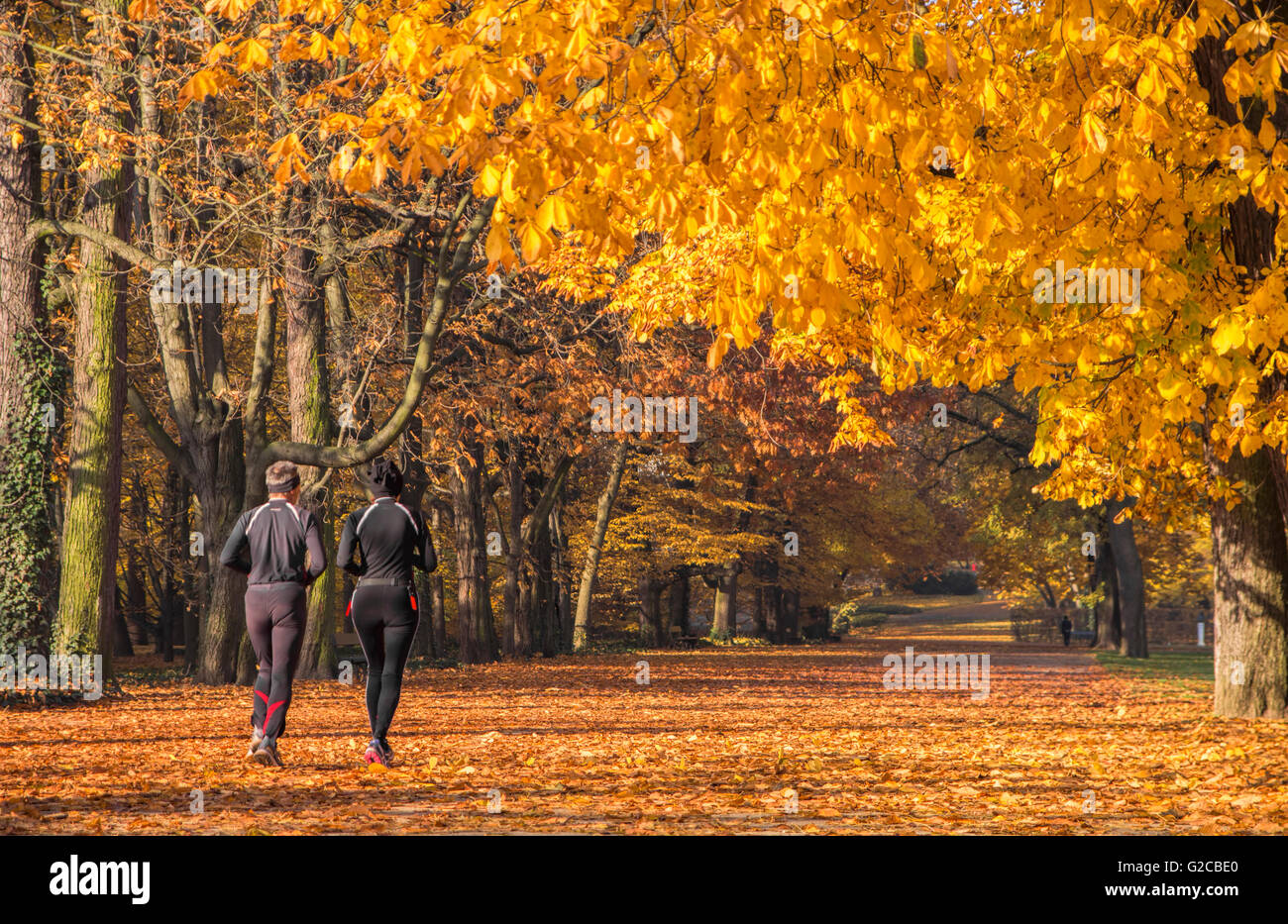 Autumn park activity Stock Photo - Alamy
