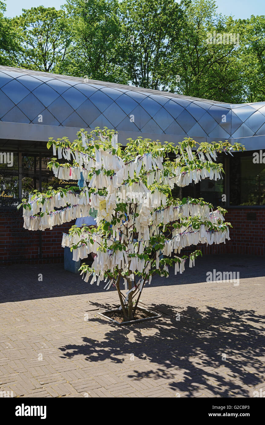 Wishing tree in front of the Peace Palace in The Hague, Netherlands ...