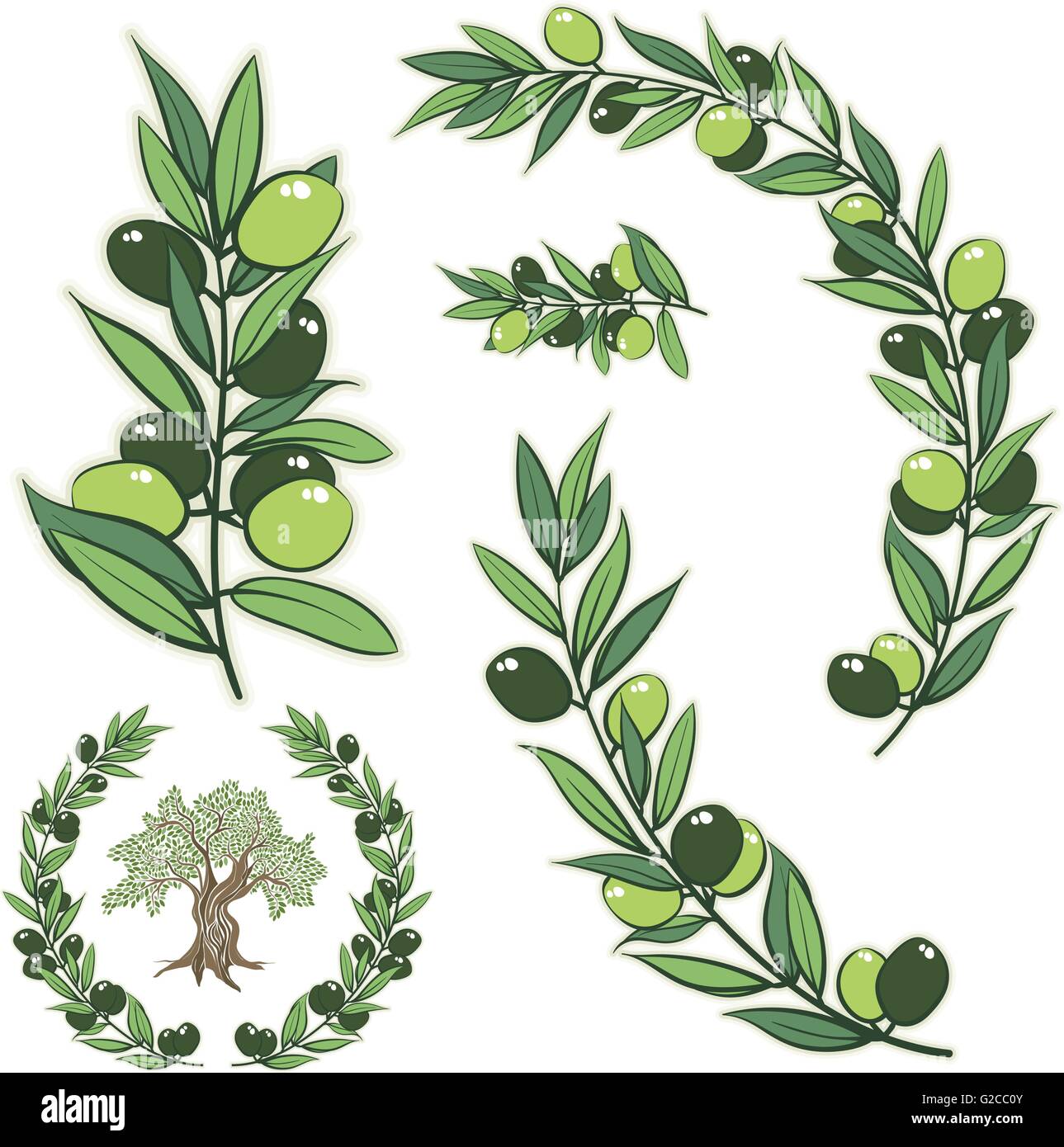 Vector frame with olive branch. Hand drawn circle frame illustration ... Vector frame with olive branch. Hand drawn circle frame illustration ...