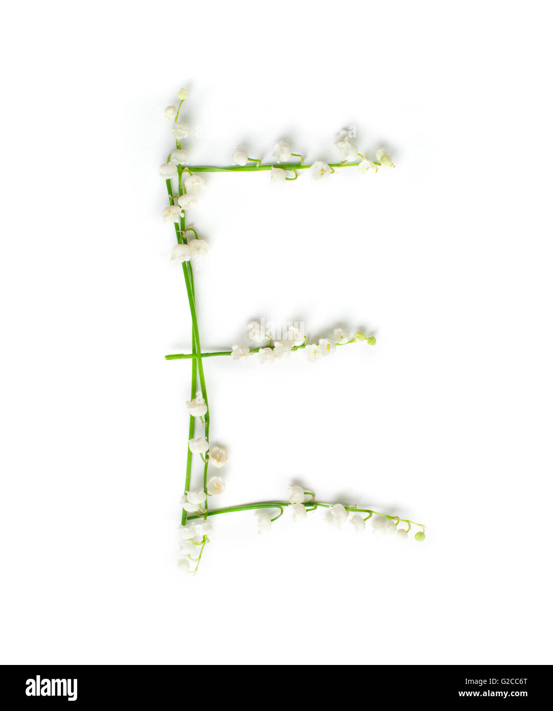 English alphabet from flower letters. creative decorative letter E ...
