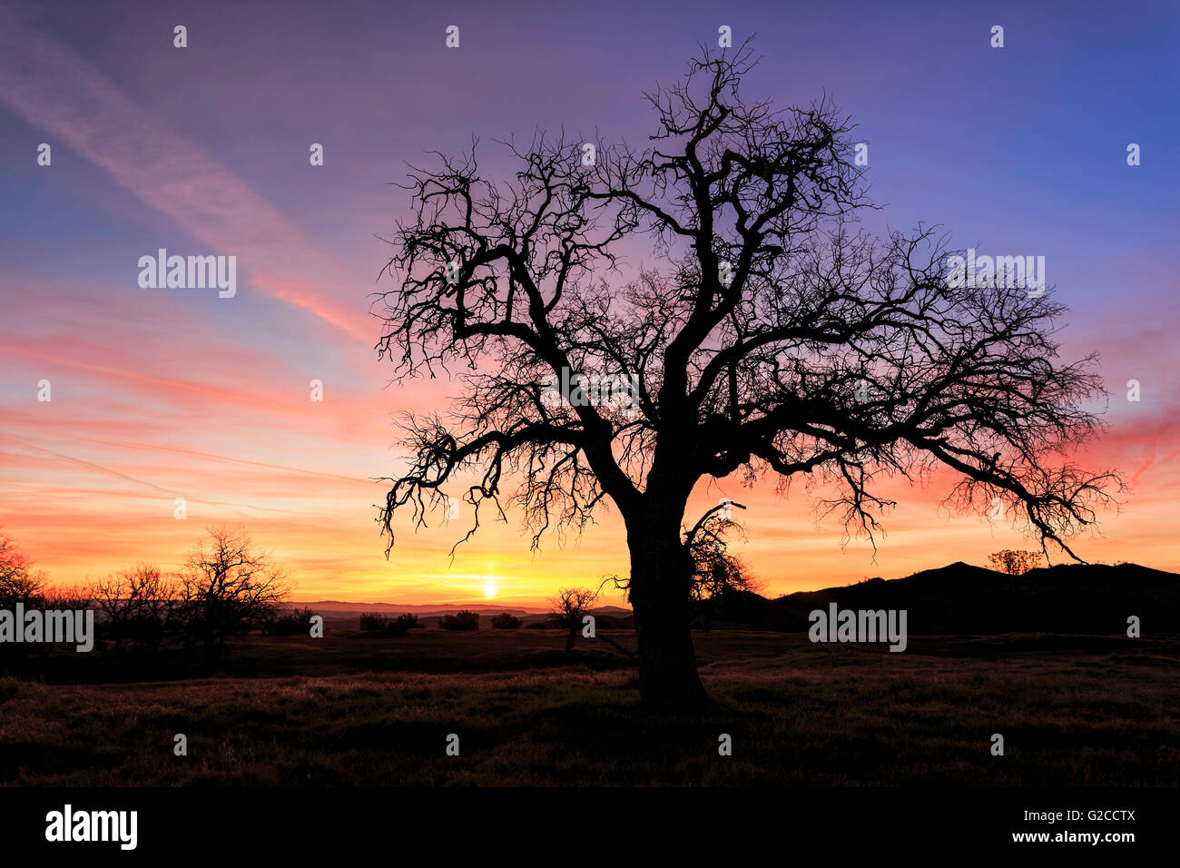 Alone at Sunrise Stock Photo - Alamy