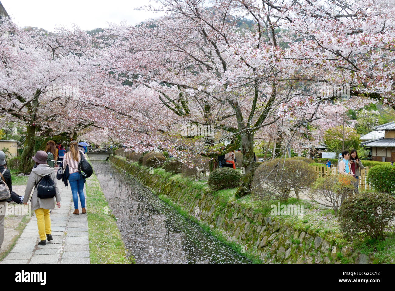 Philosophers path tetsugaku no hi-res stock photography and images - Alamy