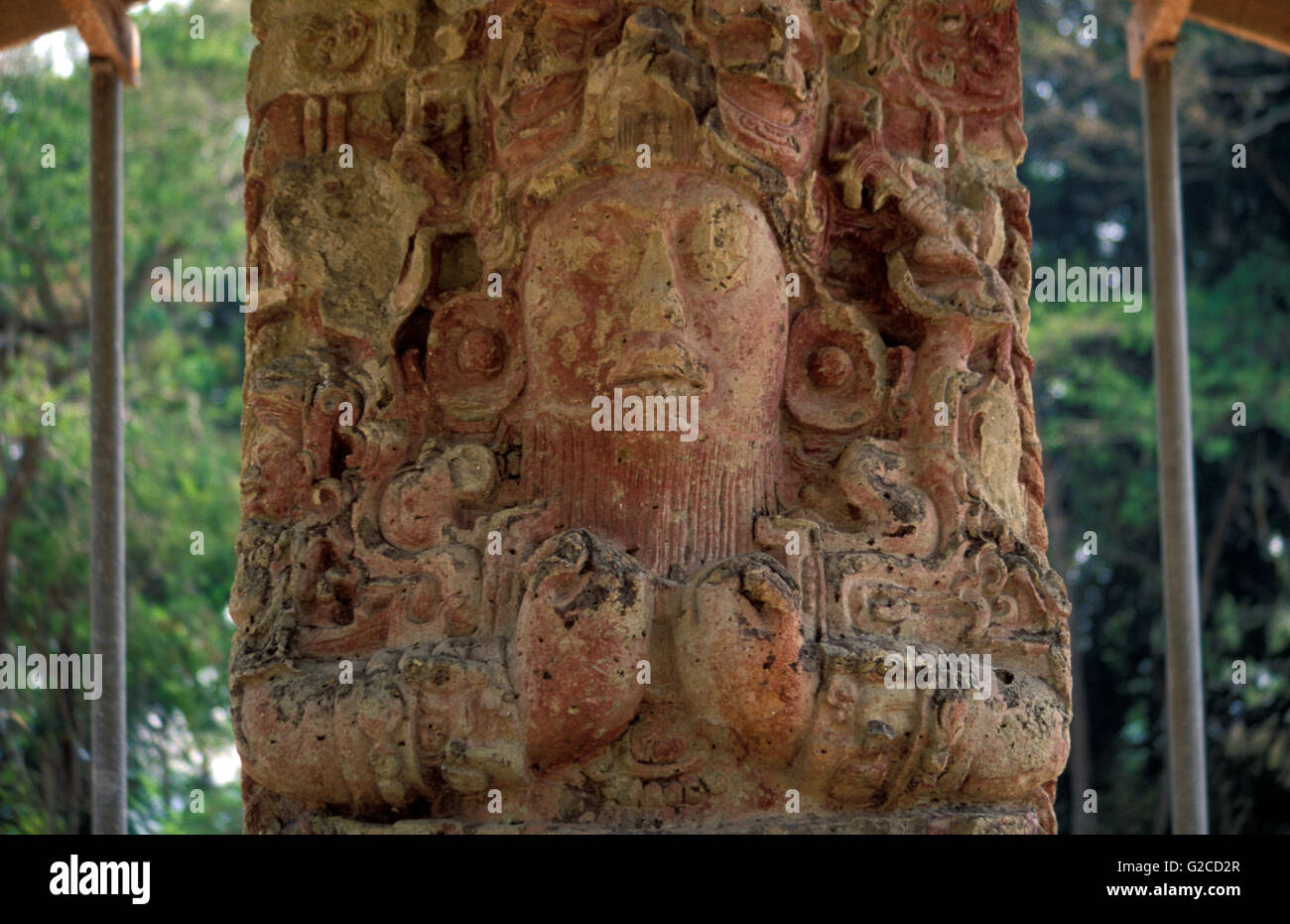 Stela C, the accession of the 13th Ruler at Copan Ruins, an ...