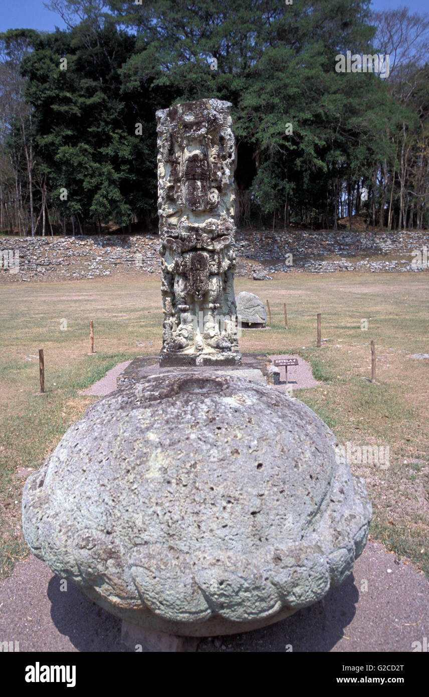 Altar and Stela A at Copan Ruins, an archaeological site of the Maya ...