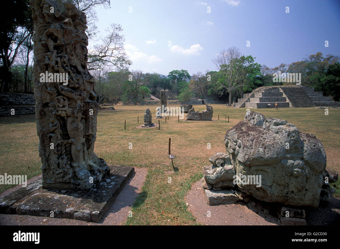 Stela D and in Zoomorphic altar at Copan Ruins, an archaeological site ...