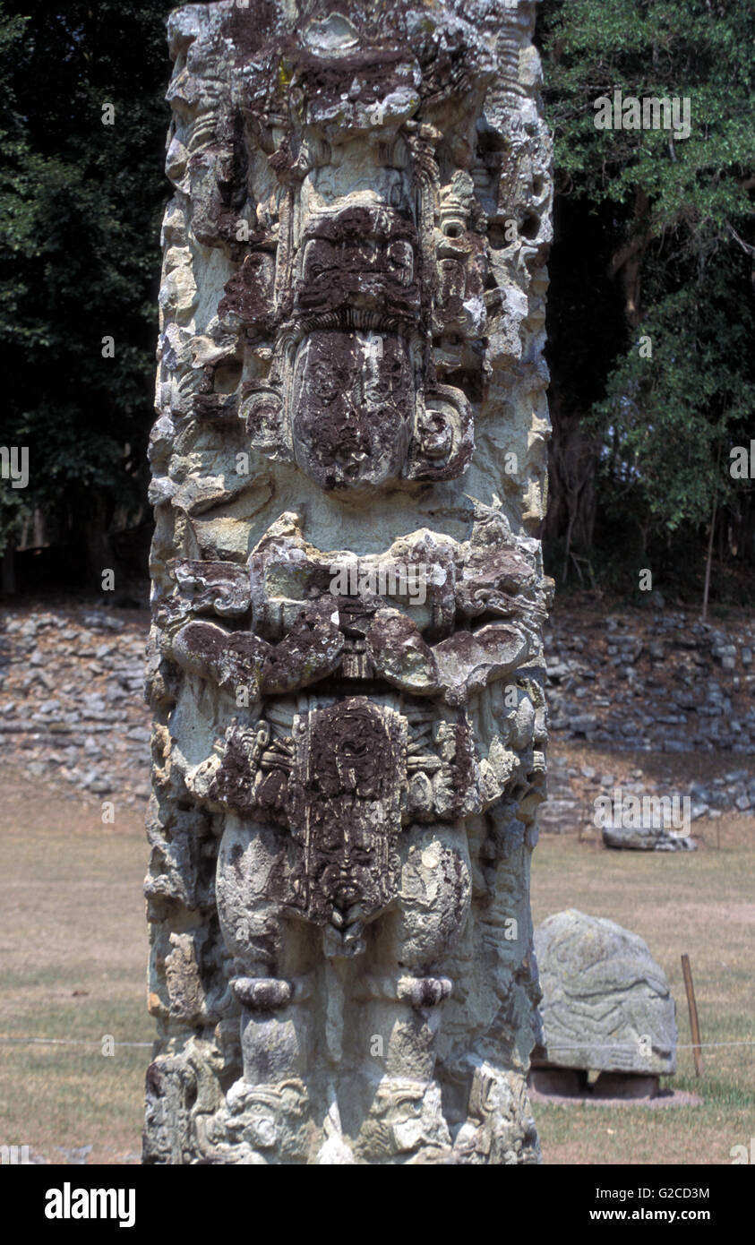 Stela in Copan Ruins, an archaeological site of the Maya civilization ...