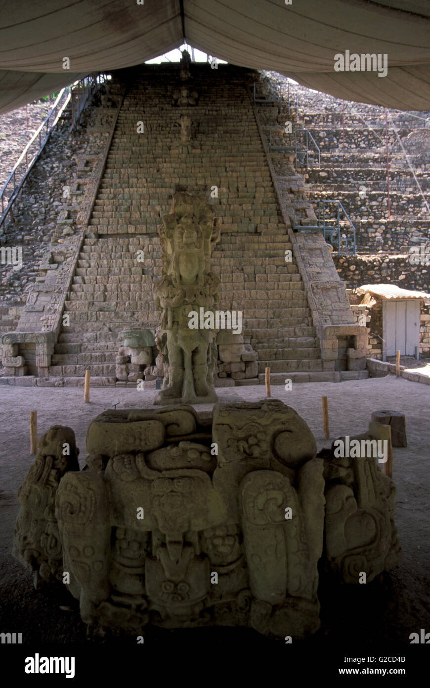 Stela M and the Hieroglyphic Stairway, Copan Ruins, archaeological site of the Maya civilization ...
