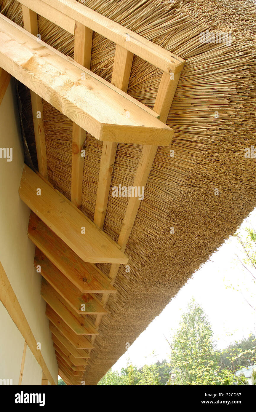Roof covered with straw and it's wooden construction Stock Photo - Alamy