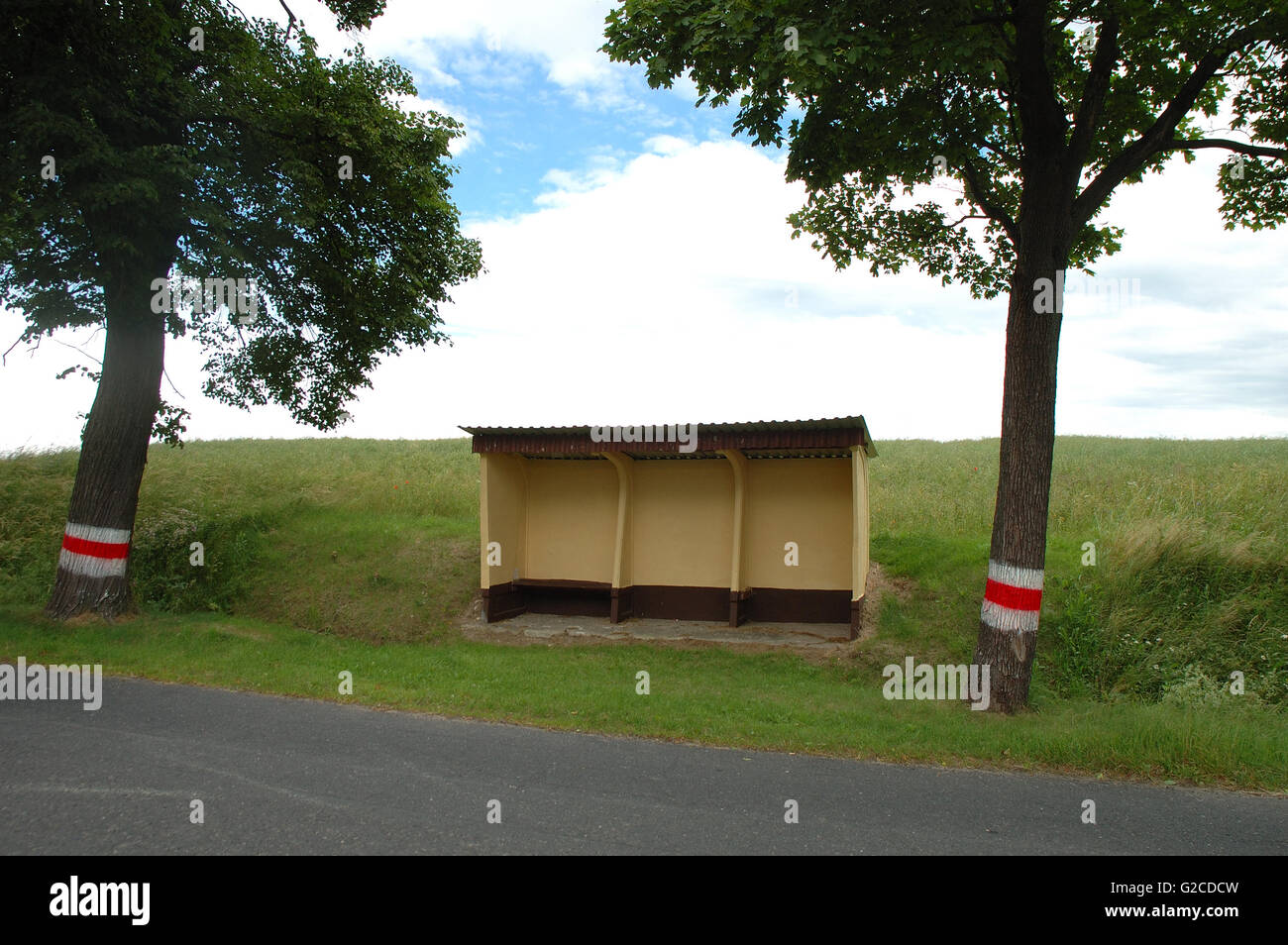 Bus stop between painted trees Stock Photo - Alamy