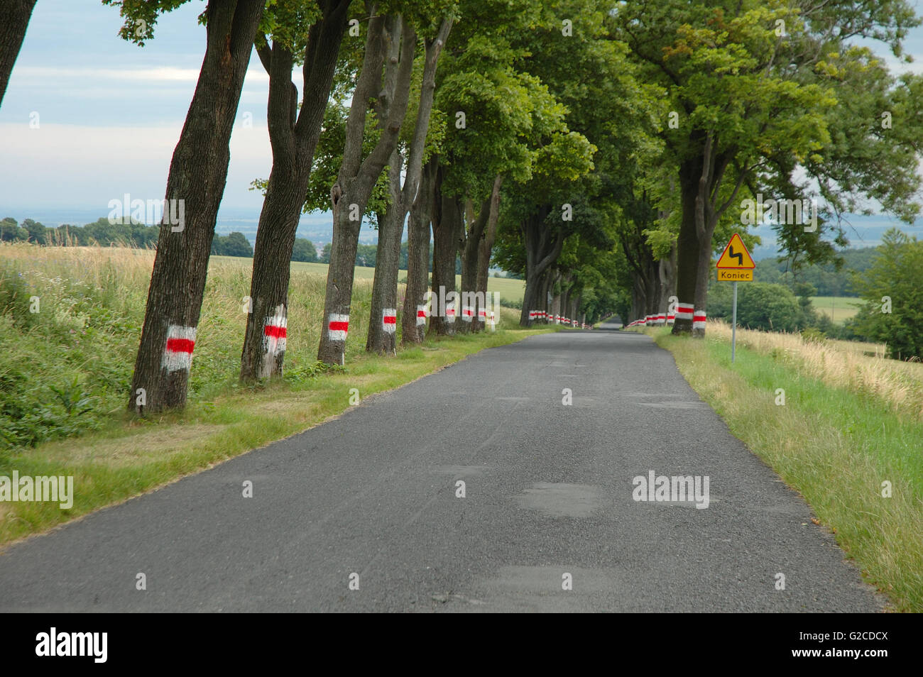 Tarmac trees hi-res stock photography and images - Alamy