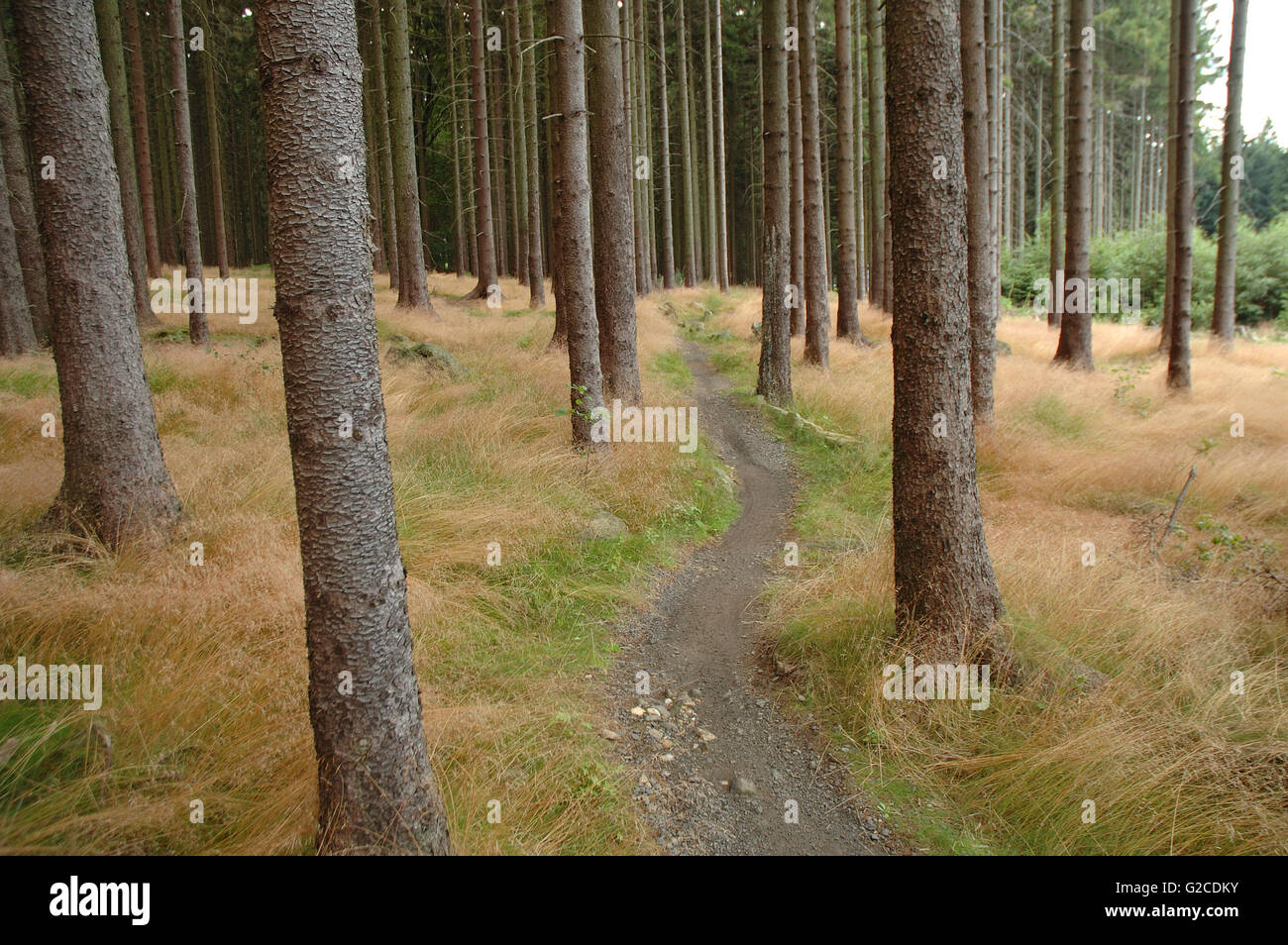 Singletrack hi-res stock photography and images - Alamy
