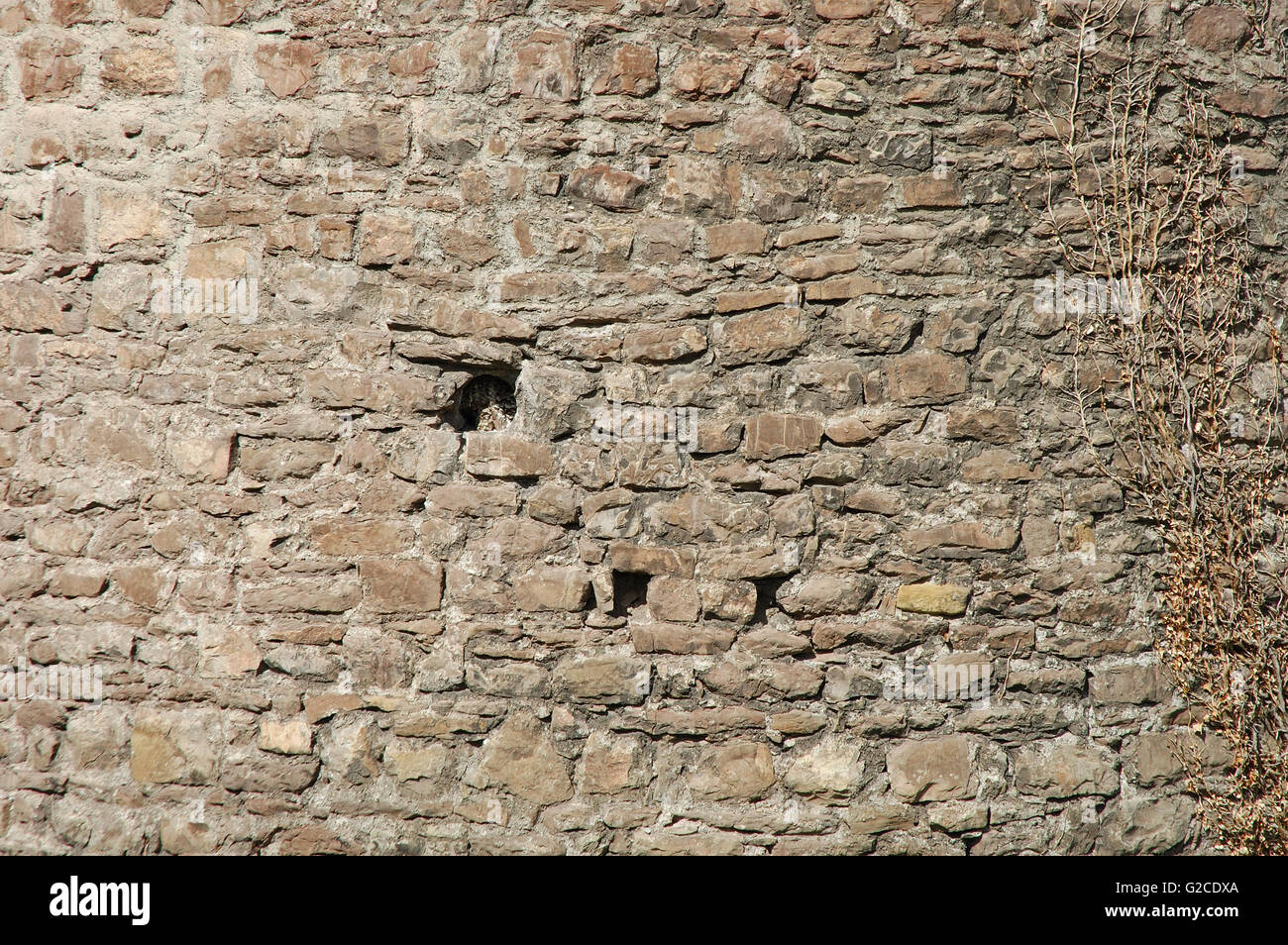 Old stone wall texture - background Stock Photo - Alamy