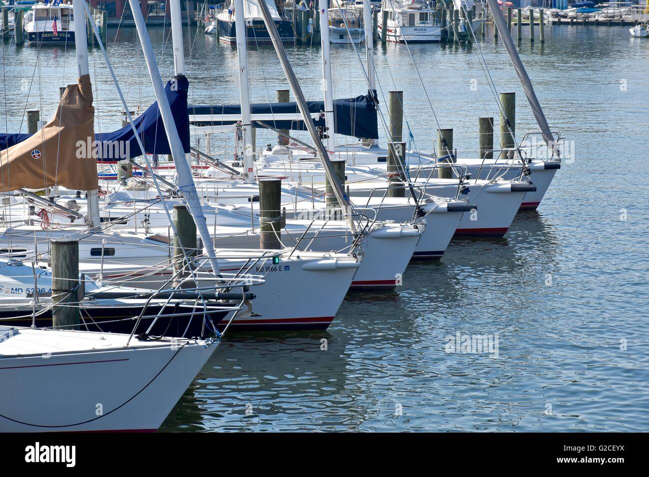 Row of sail boats lining the harbor dock Stock Photo - Alamy