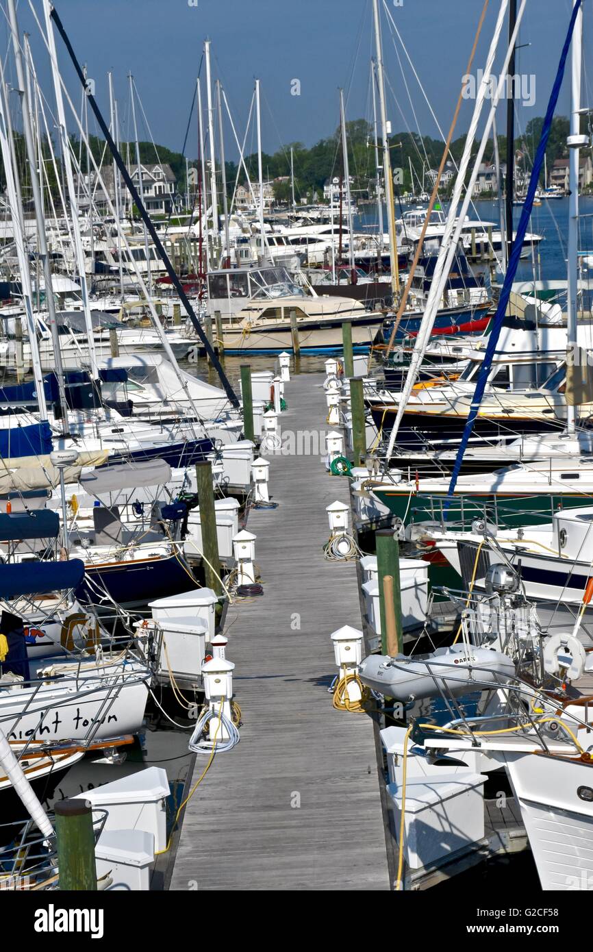 Annapolis harbor dock lined with sail boats Stock Photo - Alamy