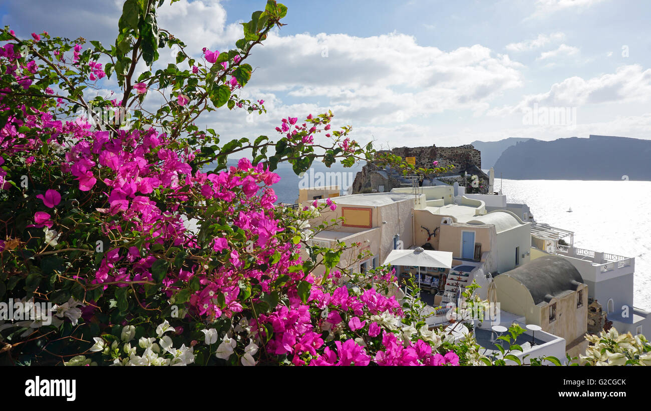 Greece island santorini in autumn Stock Photo - Alamy