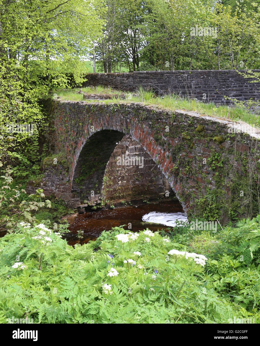 Packhorse bridge across River Knaik Braco Scotland May 2016 Stock Photo ...
