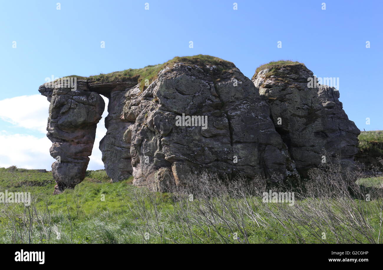Buddo Rock Fife Scotland May 2016 Stock Photo - Alamy