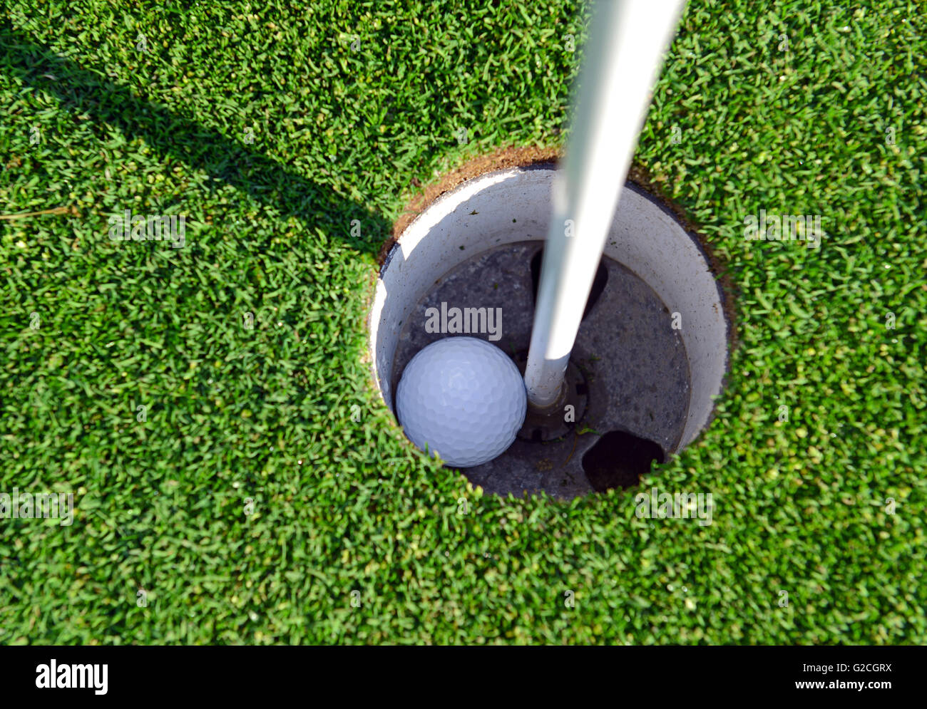 Golf ball and manicured grass of putting green on golf course Stock ...