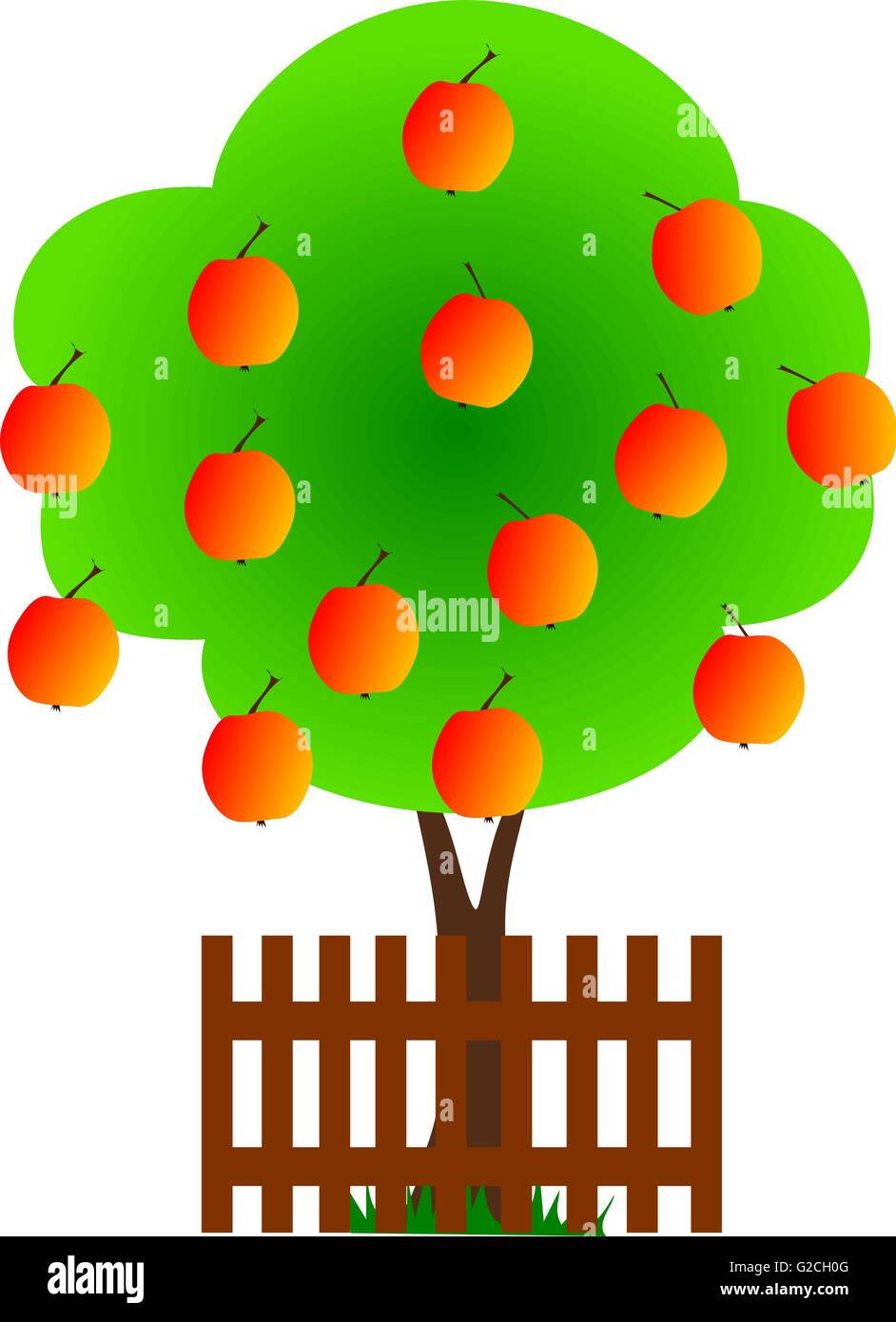 Apples tree orchard Stock Vector Images - Alamy