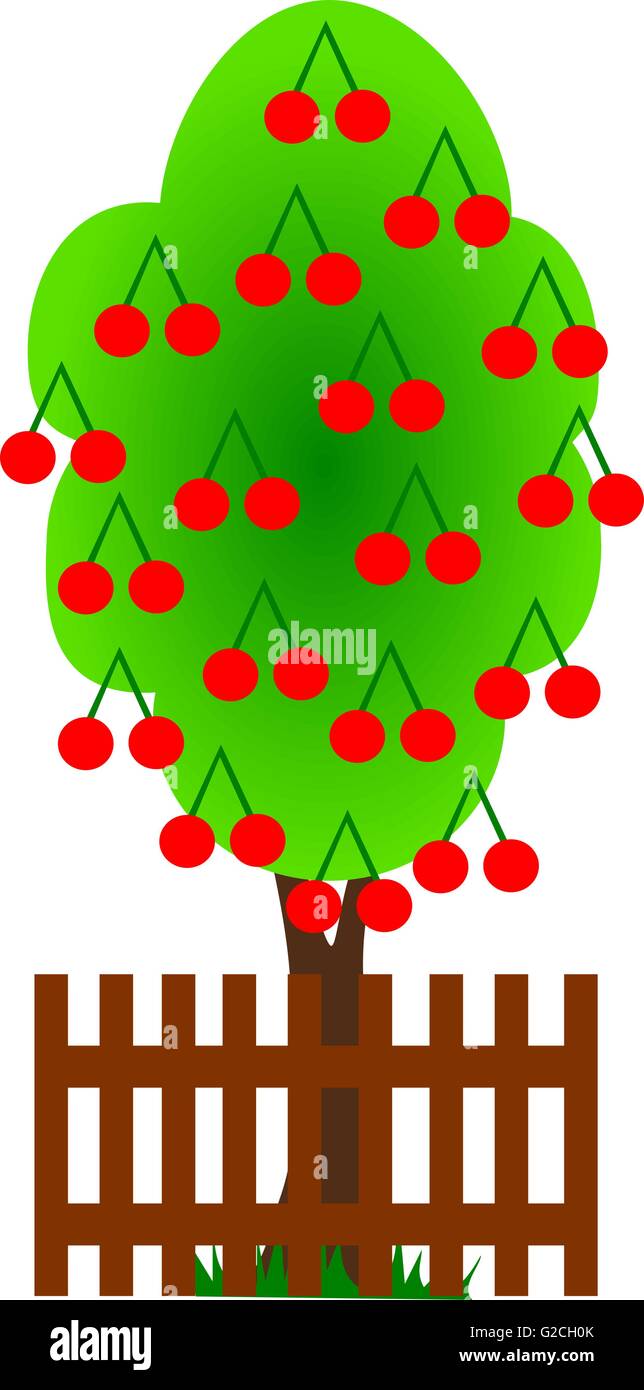 Cherry tree farming Stock Vector Images - Alamy